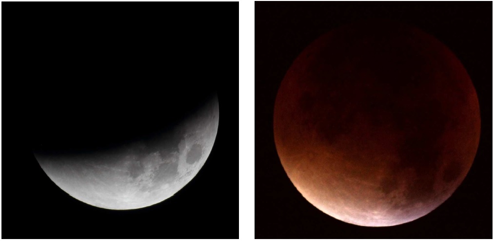 Udo Backhaus' publications